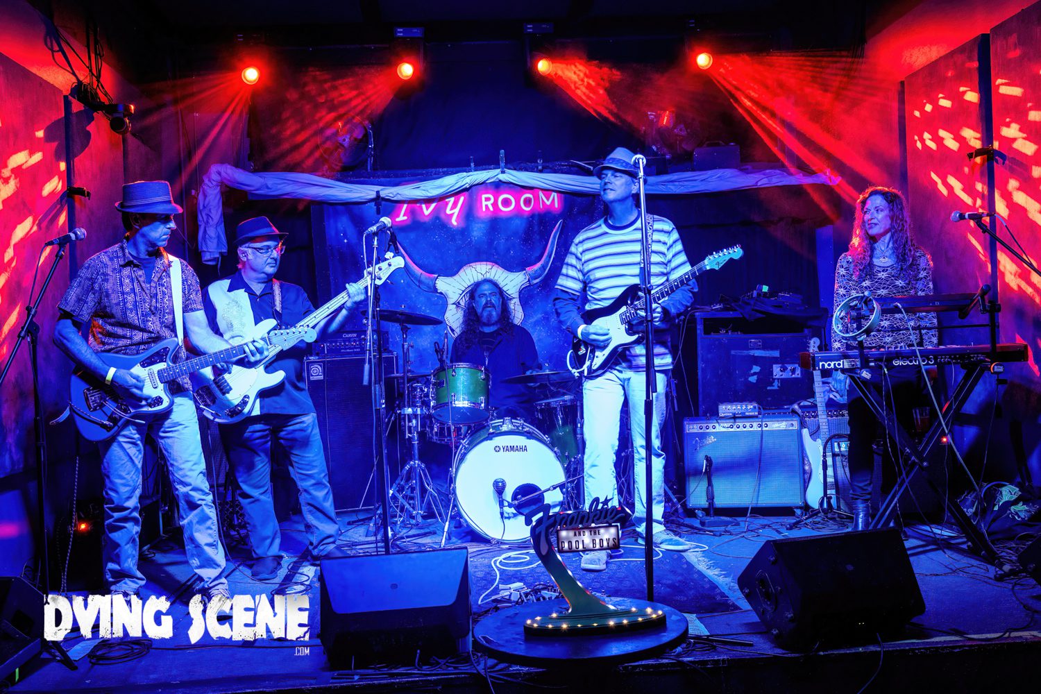 DS Show Review & Gallery: The Bomboras/Frankie and the Pool Boys ...
